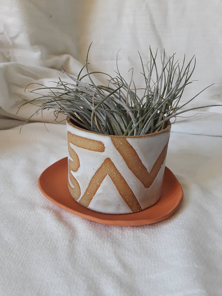 Desk Top Planter – POP SOCIETY